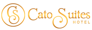 Cato Suites Hotel - Accommodation in Durban